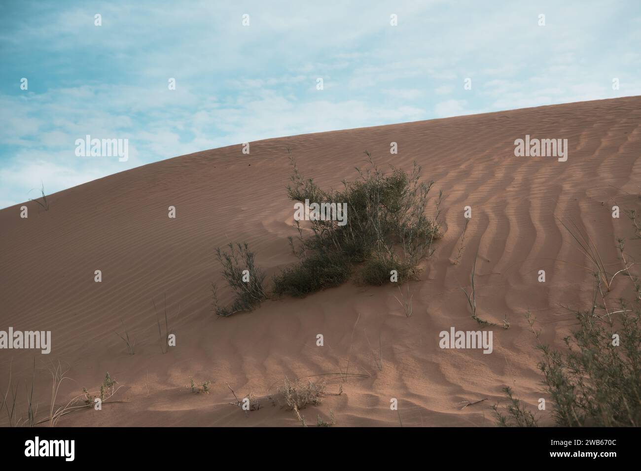 Tengri Desert in the Inner Mongolia Autonomous Region in China. Sunset ...