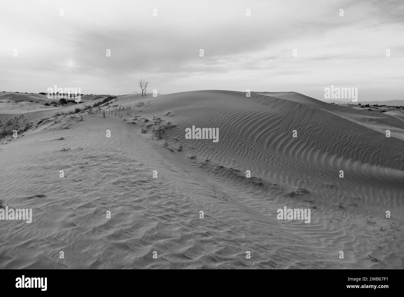 Sand dunes sunset Black and White Stock Photos & Images - Alamy