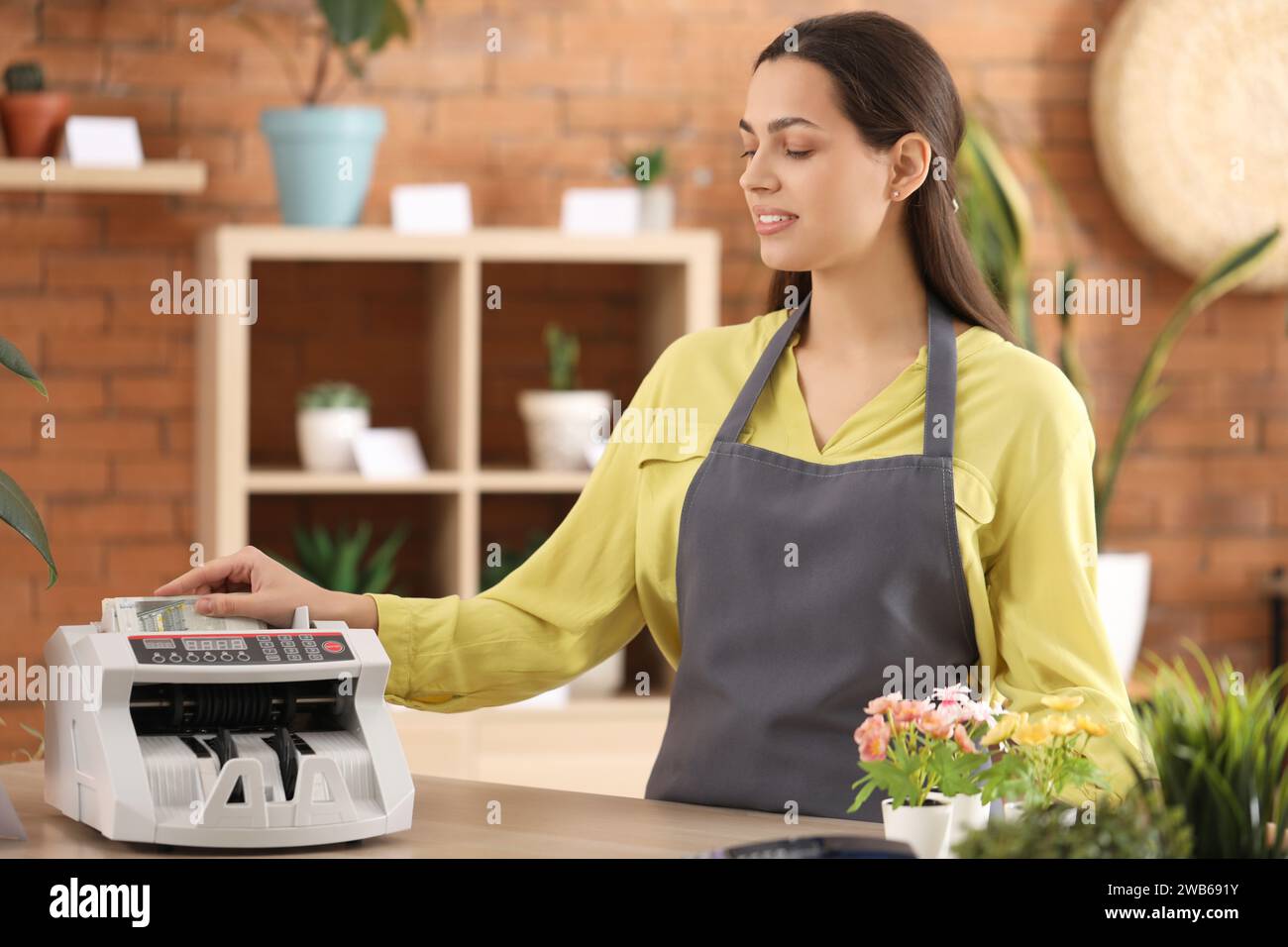 Female cashier using cash counting machine in flower shop Stock Photo ...