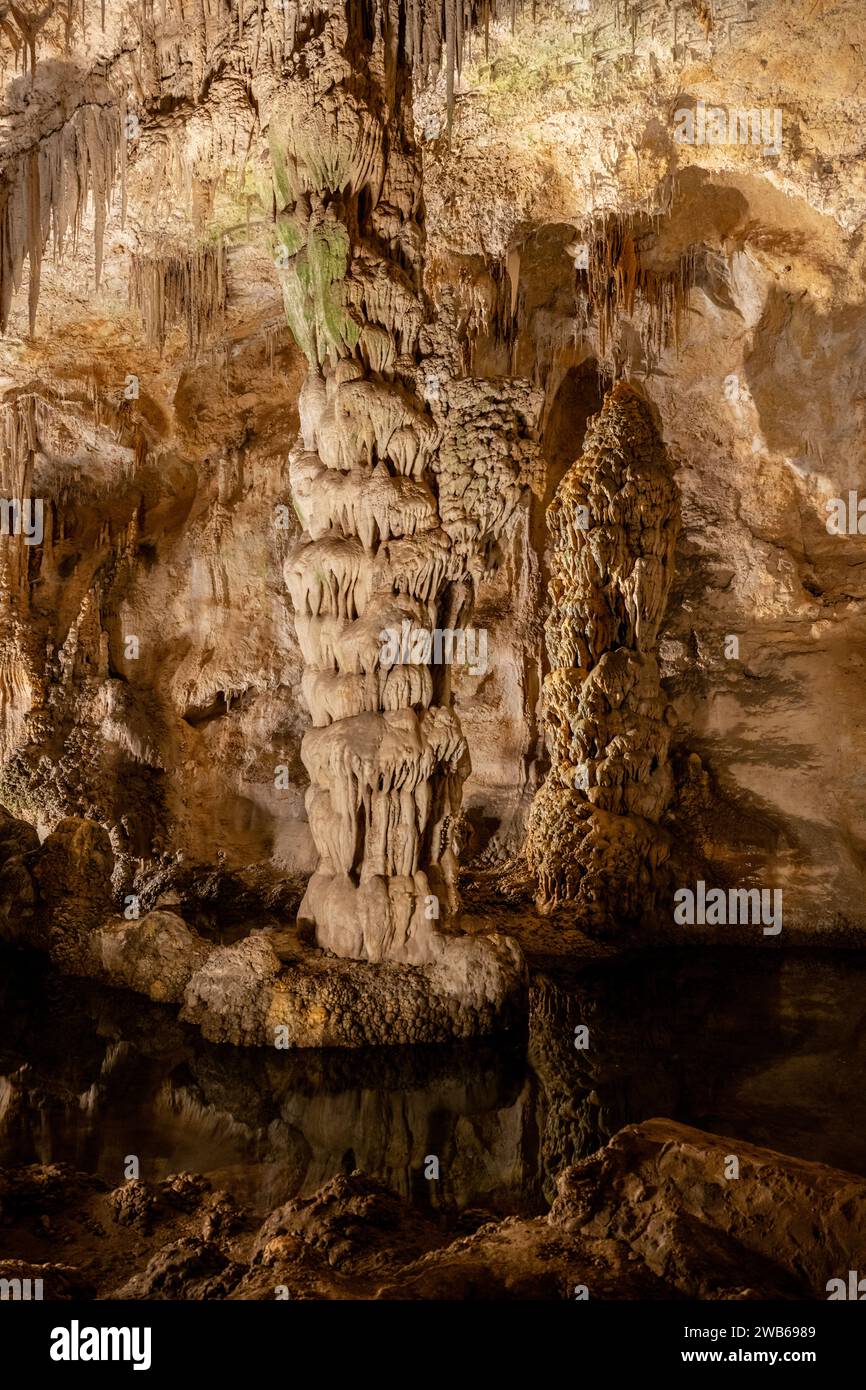 Tall Column at Devils Spring In Carlsbad Caverns National Park Stock ...
