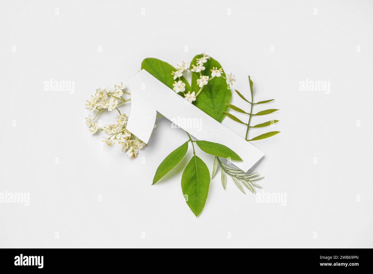 Green leaves and flowers with paper number one on white background ...