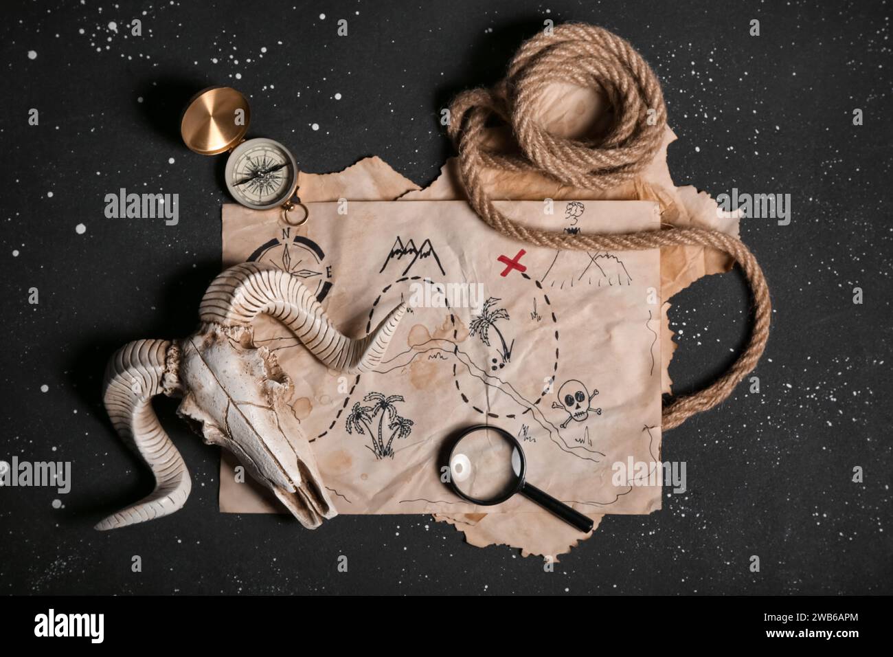 Sheep scull with travel equipment and treasure map on grunge black ...