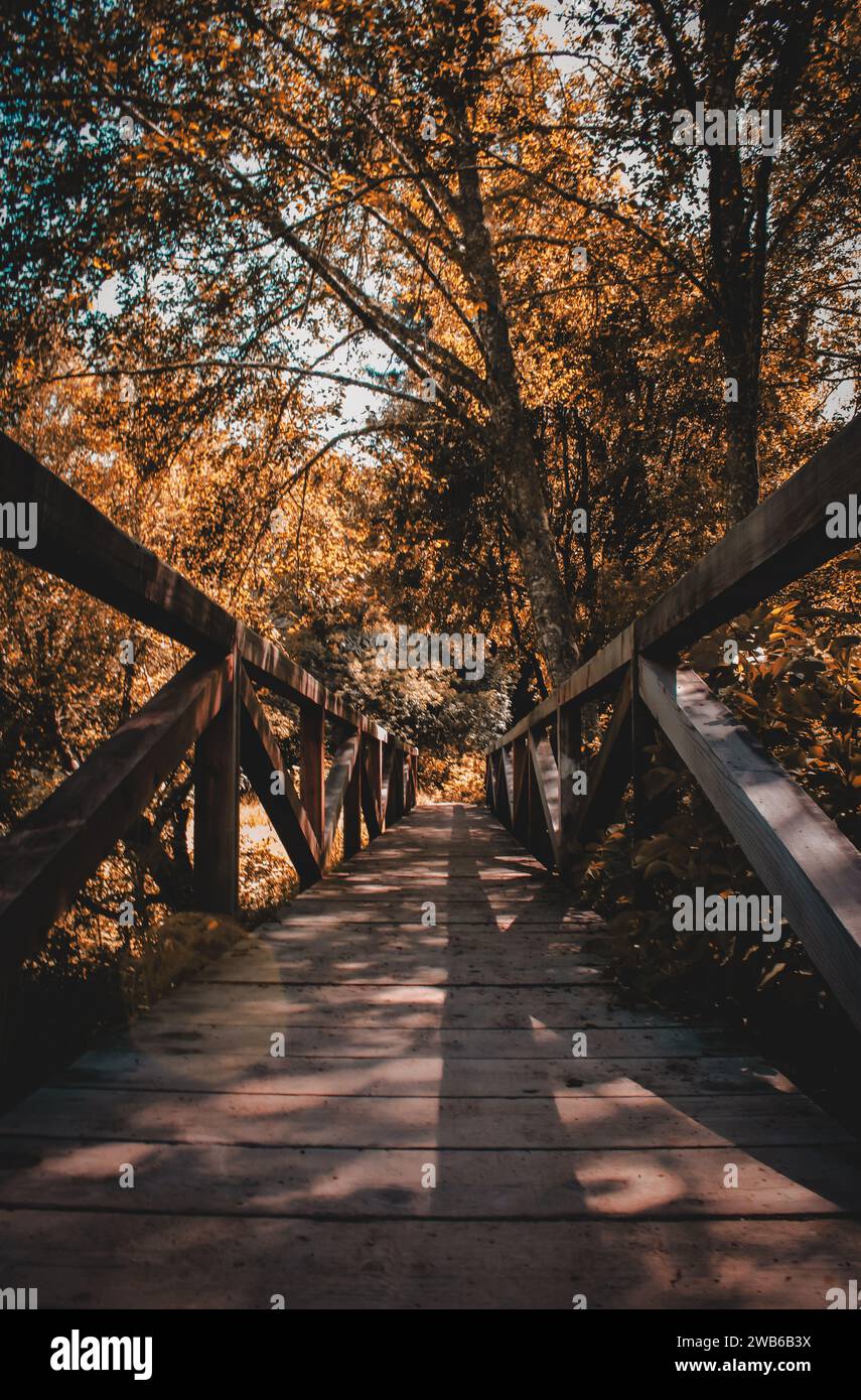 Rustic footbridge hi-res stock photography and images - Alamy