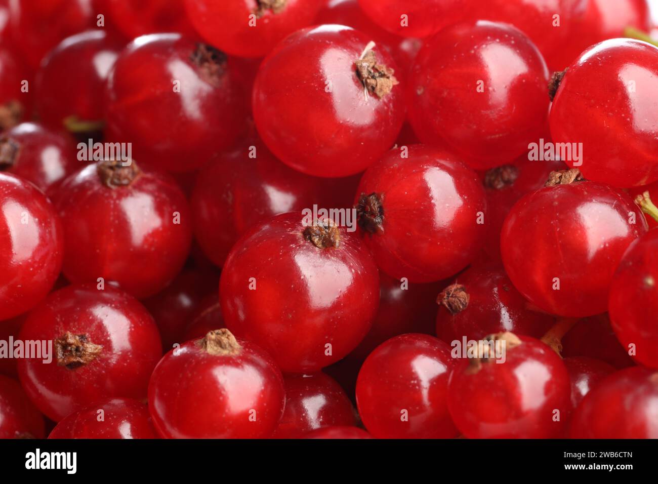 Many tasty fresh red currants as background, closeup Stock Photo - Alamy