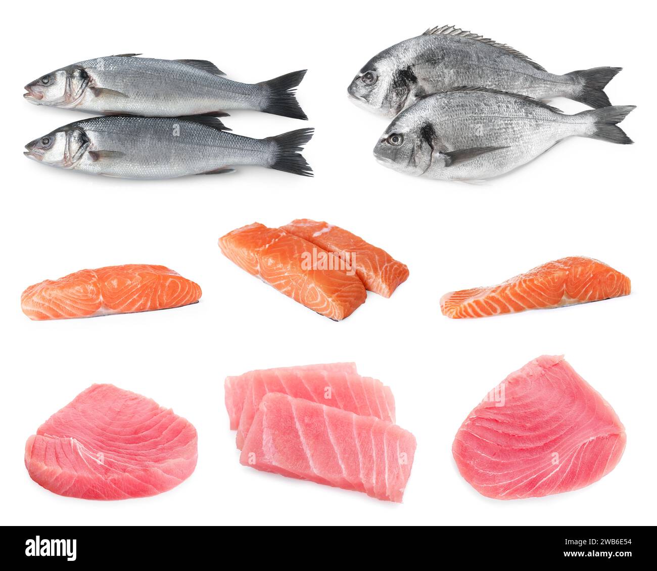 Different types of raw fish isolated on white, set Stock Photo - Alamy