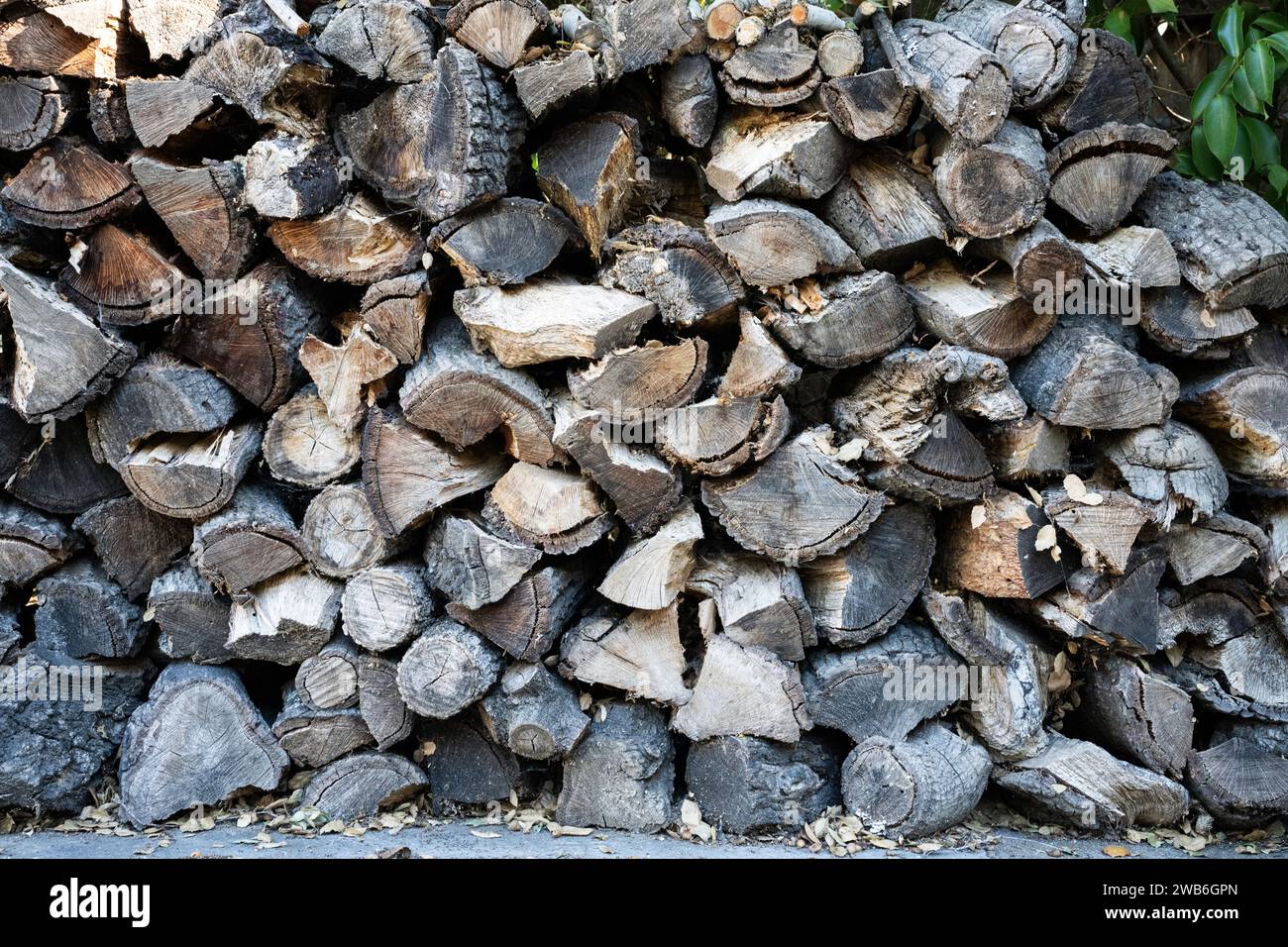 Stacked oak firewood in backyard Stock Photo - Alamy