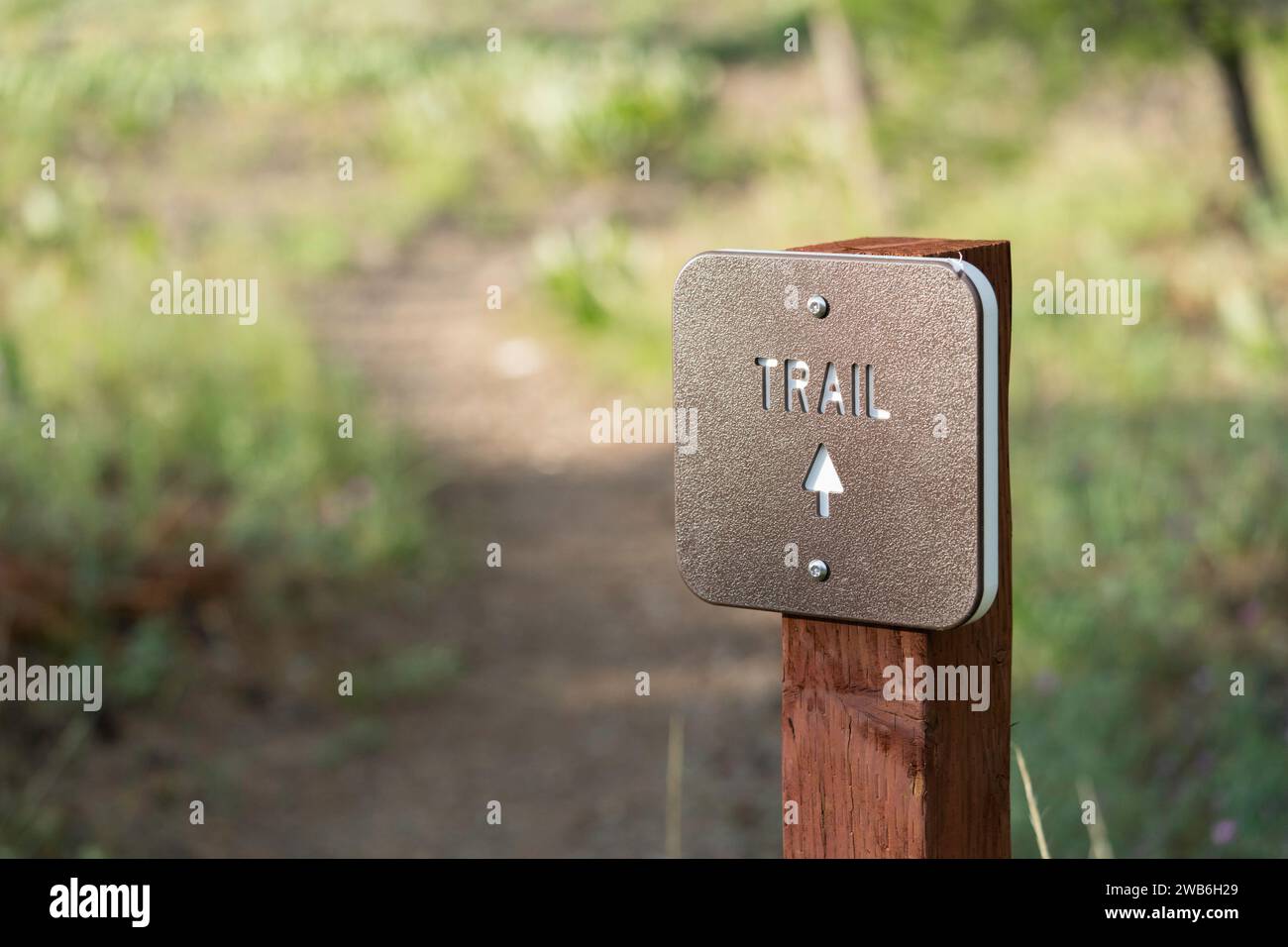 Trail marker sign in forest with arrow and out of focus trail in ...