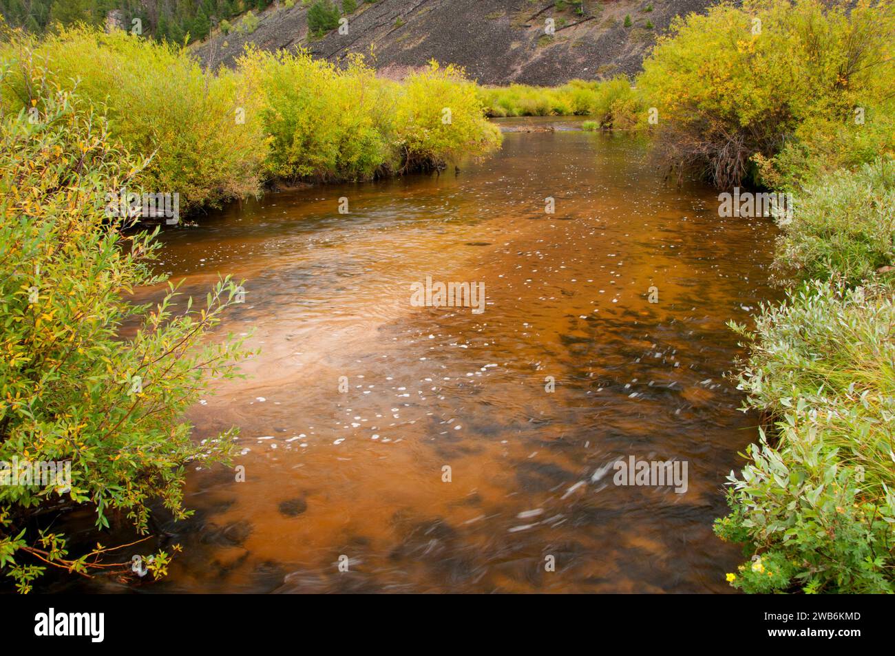 Wise River, Pioneer Mountains National Scenic Byway, Beaverhead ...