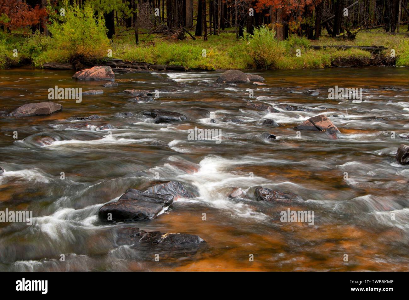 Wise River, Pioneer Mountains National Scenic Byway, Beaverhead ...