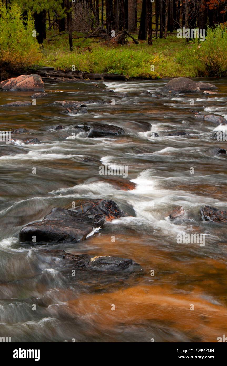 Wise River, Pioneer Mountains National Scenic Byway, Beaverhead ...