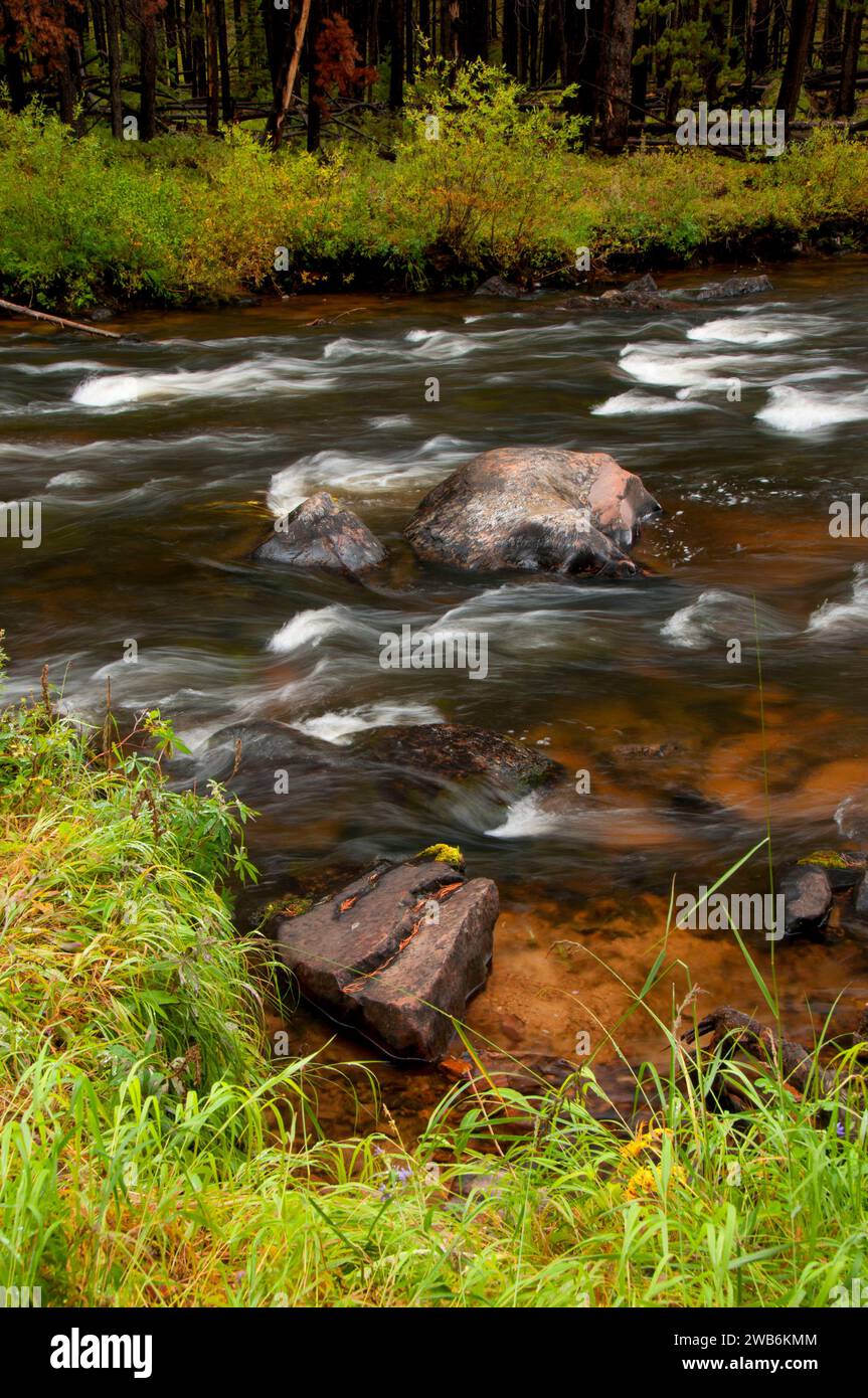 Wise River, Pioneer Mountains National Scenic Byway, Beaverhead ...