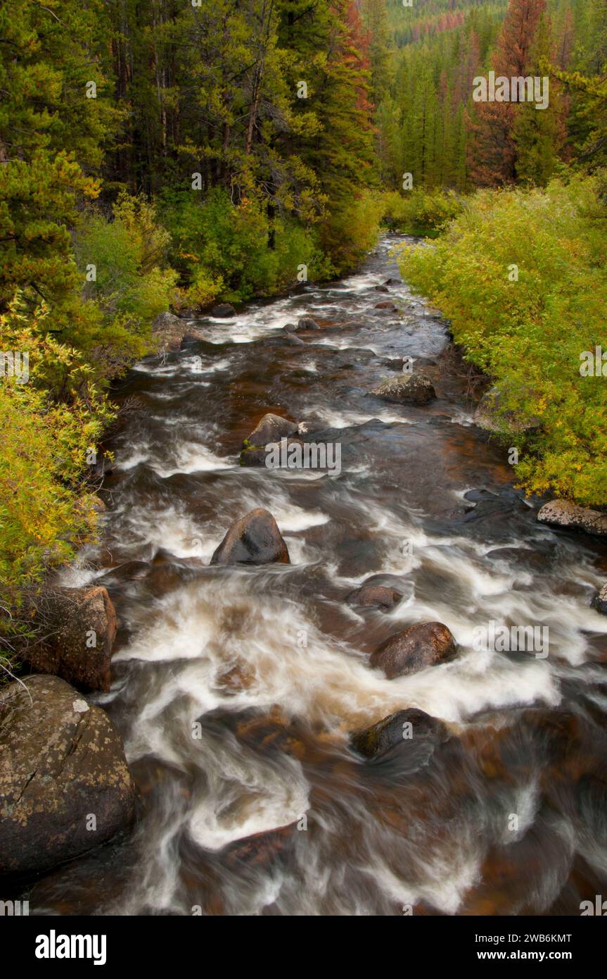 Wise River, Pioneer Mountains National Scenic Byway, Beaverhead ...