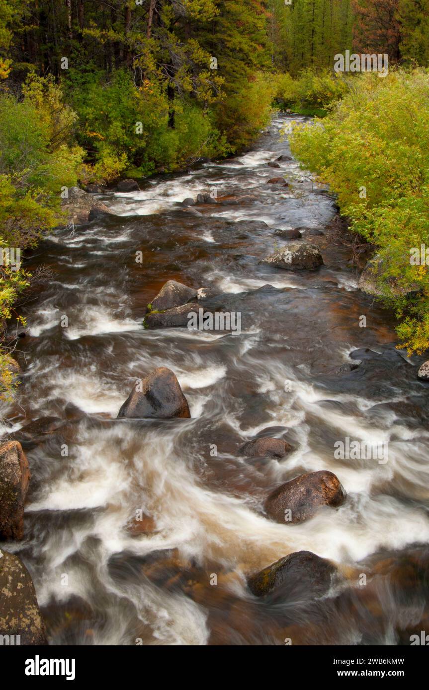 Wise River, Pioneer Mountains National Scenic Byway, Beaverhead ...