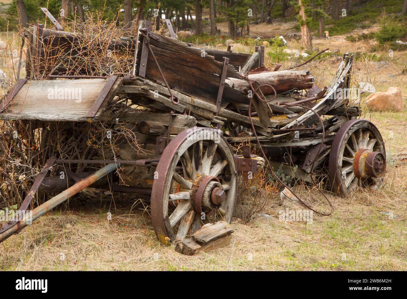 Weathered wagon ruin, Elkhorn, Beaverhead-Deerlodge National Forest ...
