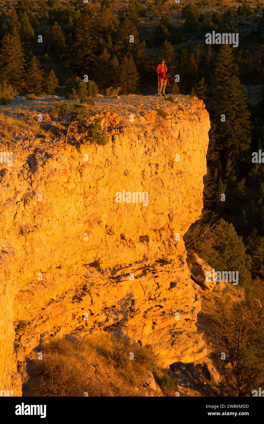 Madison Buffalo Jump, Madison Buffalo Jump State Park, Montana Stock ...