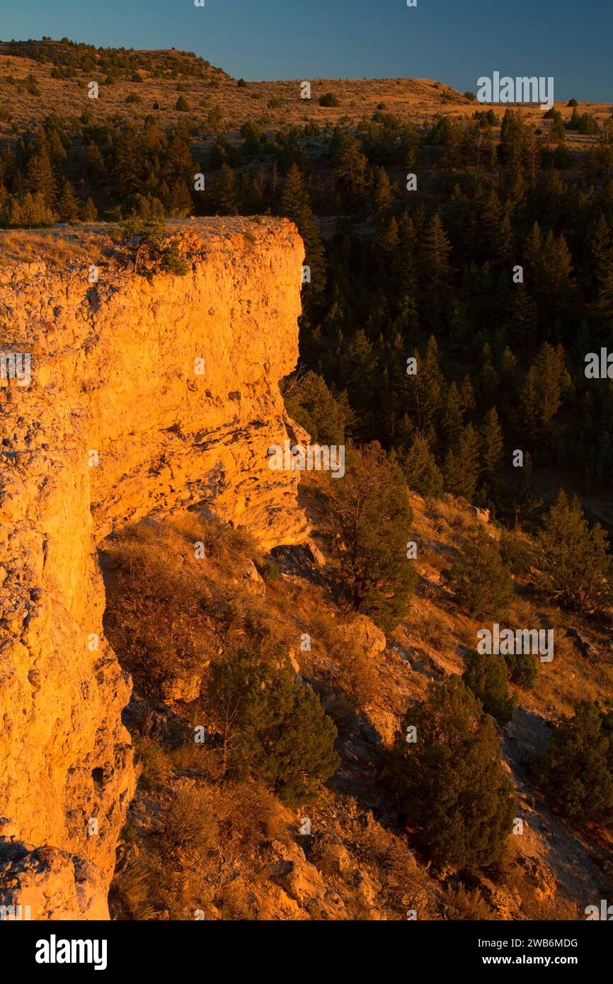 Madison Buffalo Jump, Madison Buffalo Jump State Park, Montana Stock ...