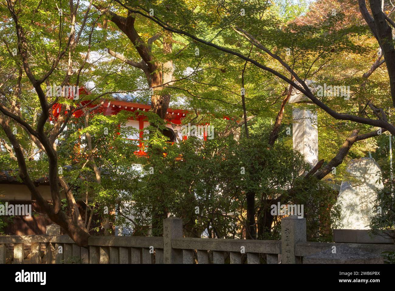 The view of the Shoro mon (bell tower) through the thick greenery of ...