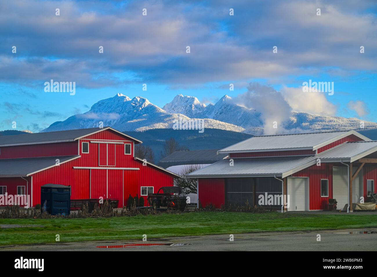 Red barns, snow capped mountain peaks, Pitt Meadows, British Columbia ...