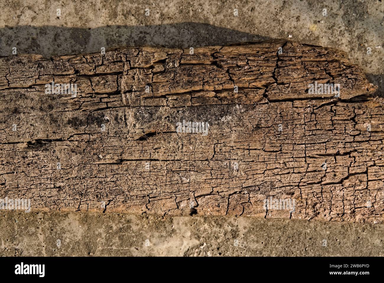 texture view of old half rotten wooden piece Stock Photo - Alamy