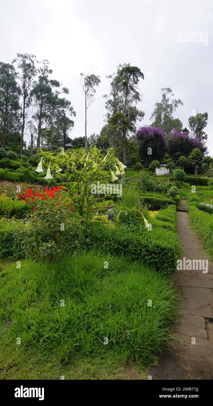 Chettiar family hi-res stock photography and images - Alamy