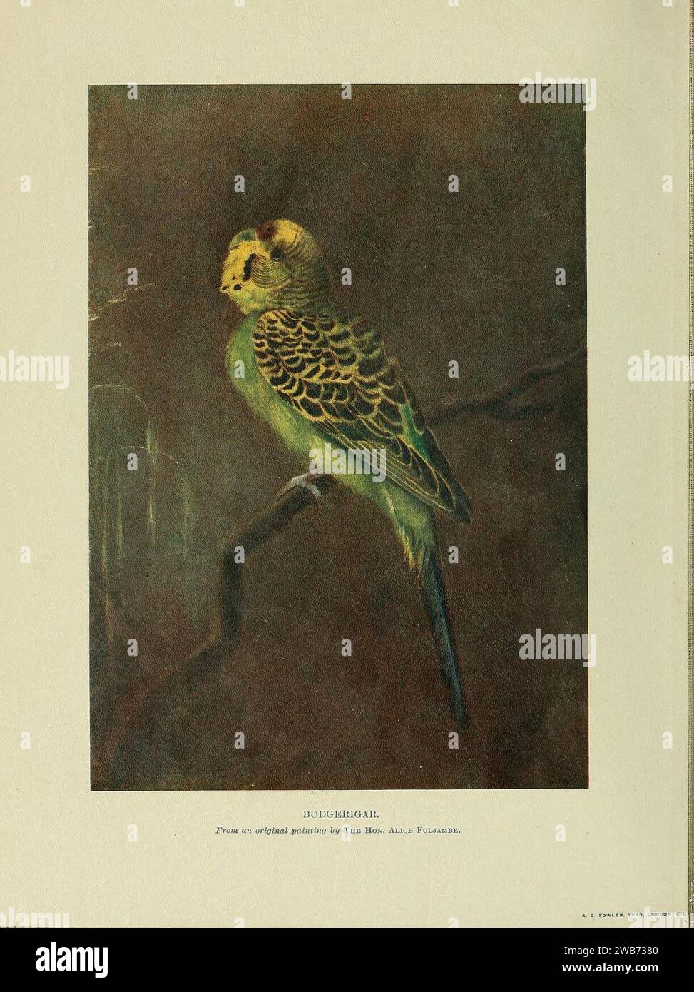 Alice foljambe hi-res stock photography and images - Alamy