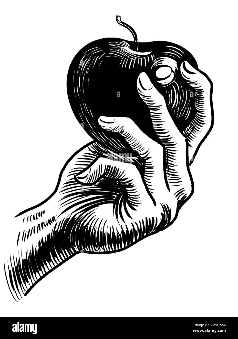 Hand holding apple fruit Black and White Stock Photos & Images - Alamy