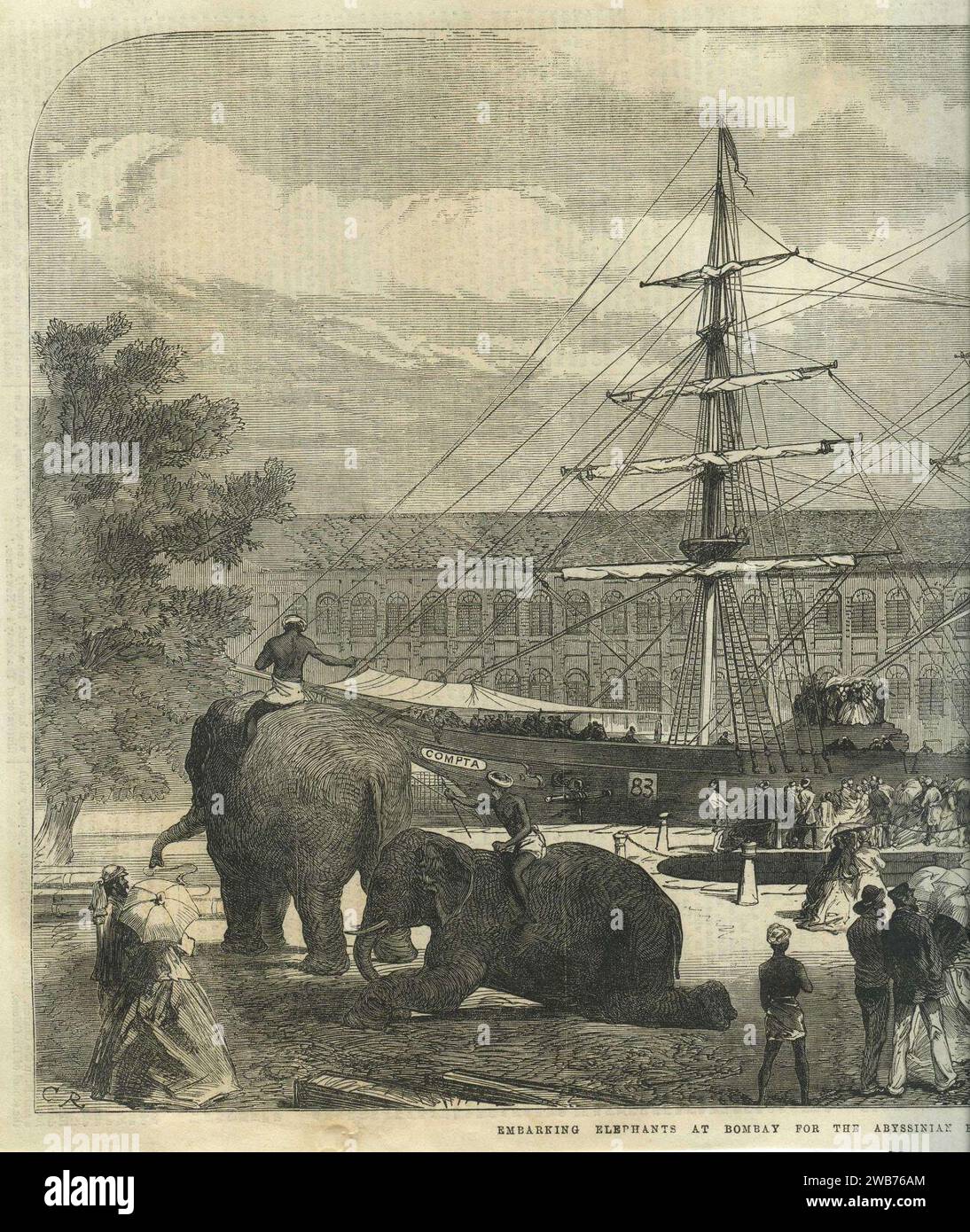 ''Embarking elephants at Bombay for the Abyssinian expedition,'' from ...