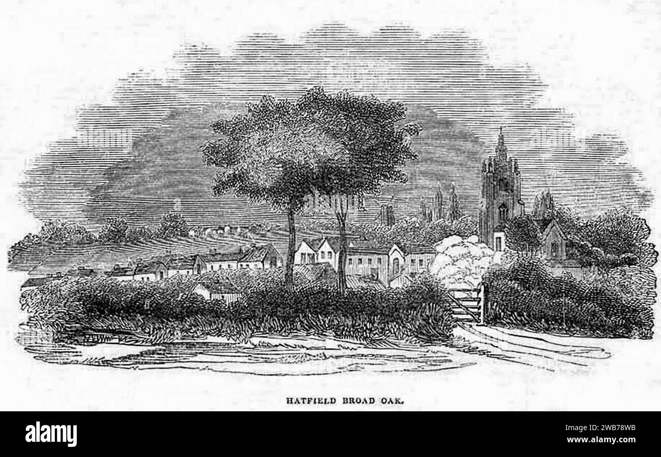 Hatfield Broad Oak Essex England 1842 print Stock Photo - Alamy