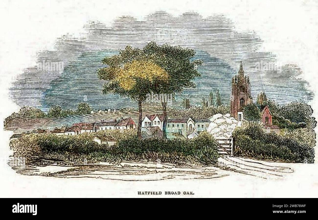 Hatfield broad oak hi-res stock photography and images - Alamy