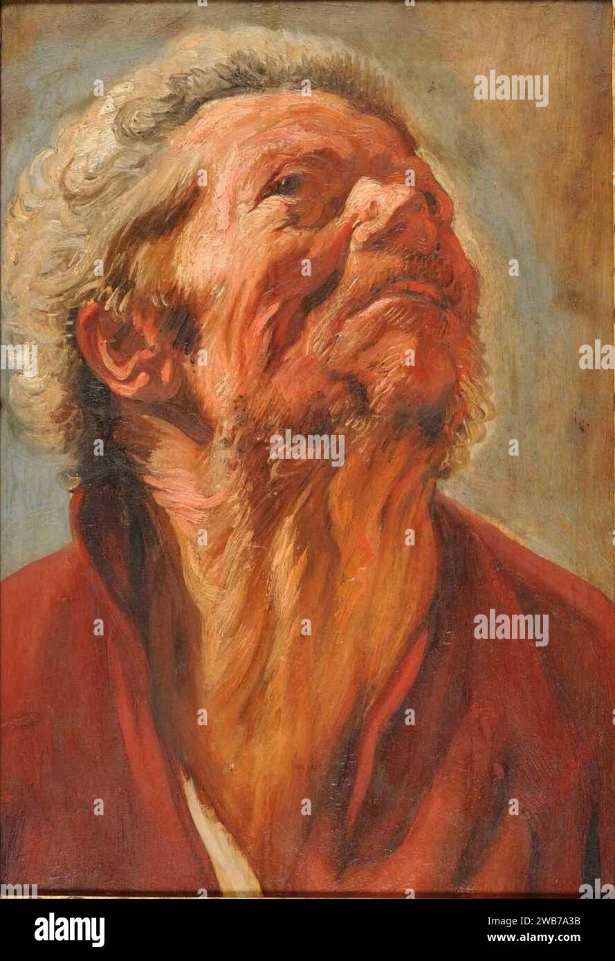 Jacob Jordaens - Study of the head of an old man (Abraham Grapheus Stock Photo - Alamy