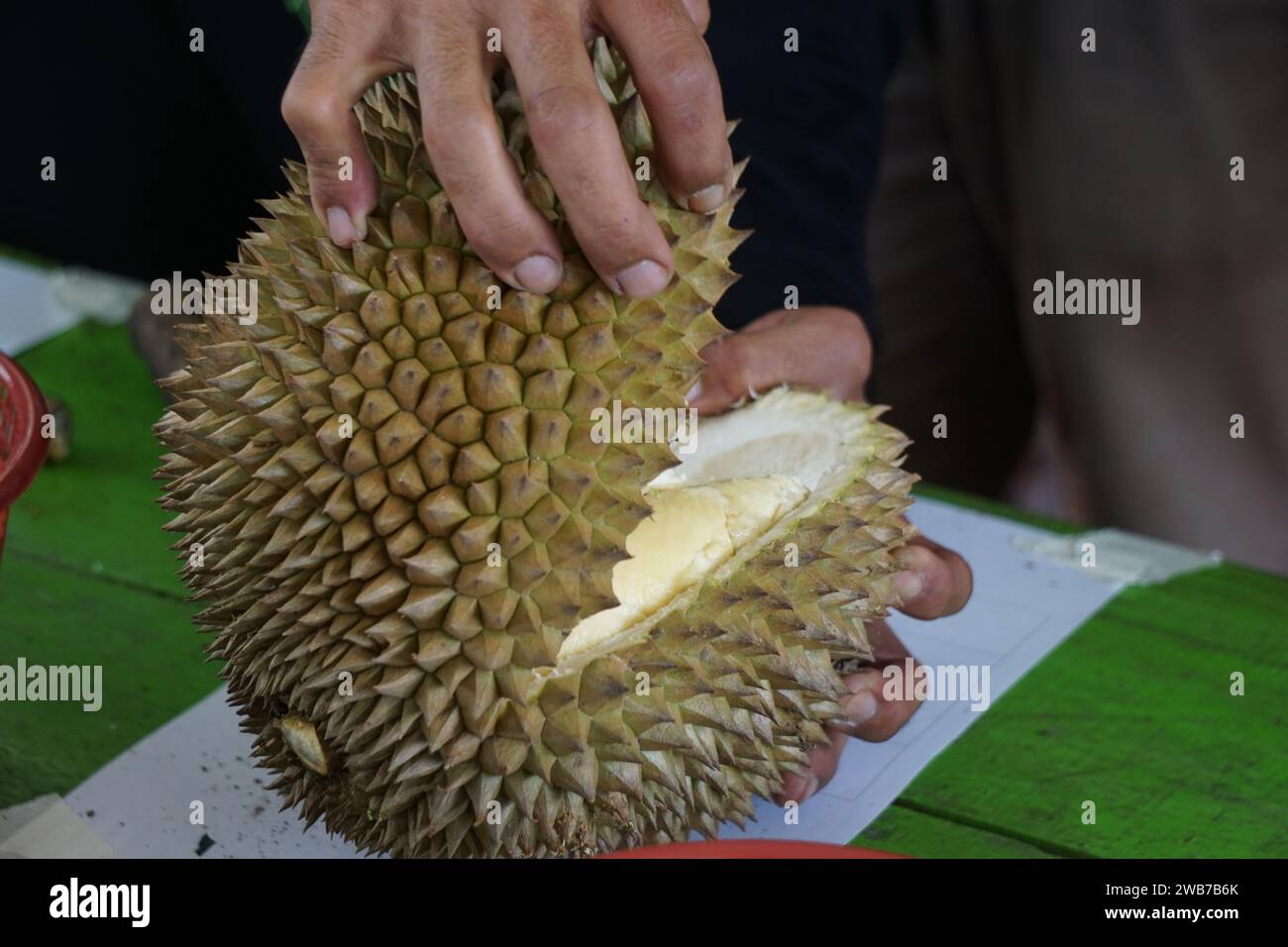 Durian, the king of fruit. Durian is one of the exotic fruit from East ...