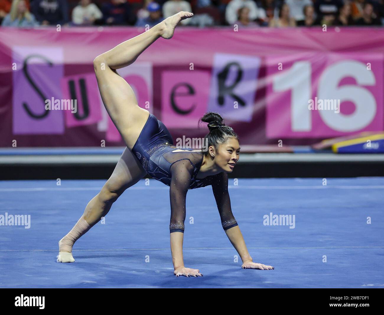 4 cals hi-res stock photography and images - Alamy