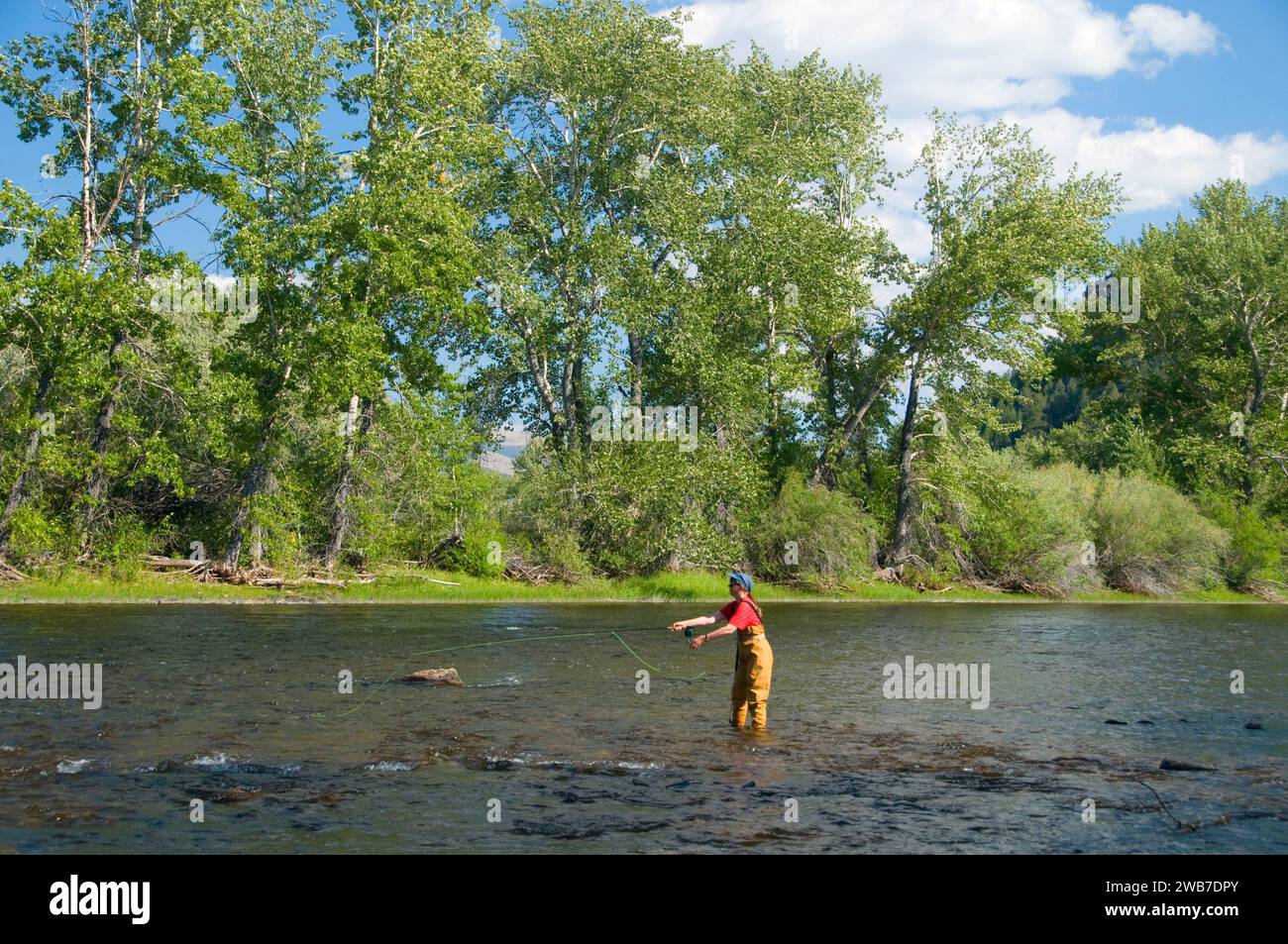 Flyfishing the Big Hole River, Divide Bridge Recreation Area, Butte ...