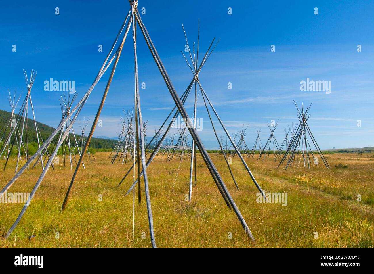 Tipis at Nez Perce Camp, Big Hole National Battlefield, Nez Perce ...