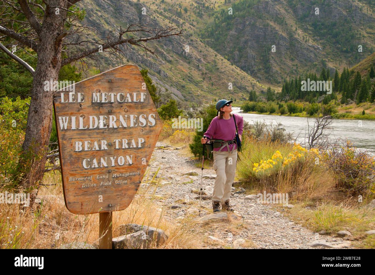 Wilderness sign by Madison River, Lee Metcalf Wilderness Area-Bear Trap ...