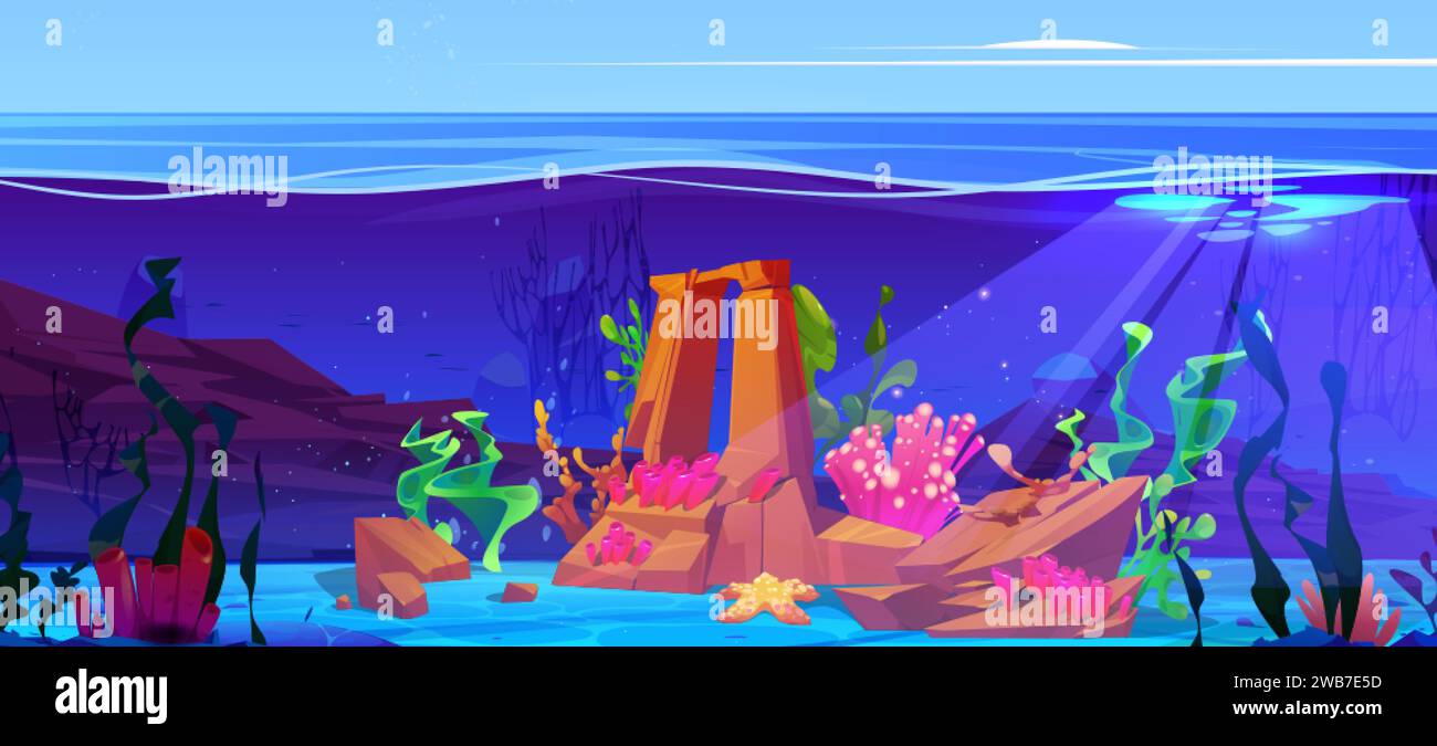 Underwater landscape with starfish and seaweeds. Vector cartoon ...