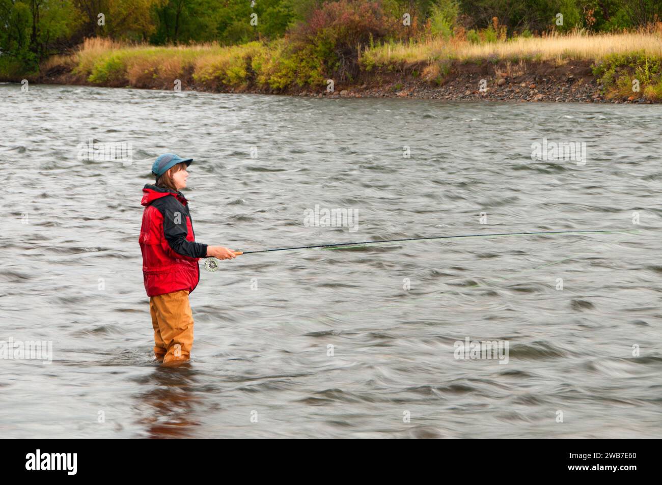 Madison River flyfishing, Burnt Tree Hole Fishing Access Site, Montana ...