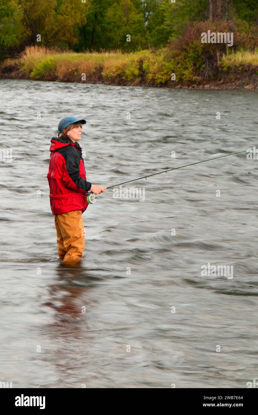 Burnt tree hole fishing access site hi-res stock photography and images ...