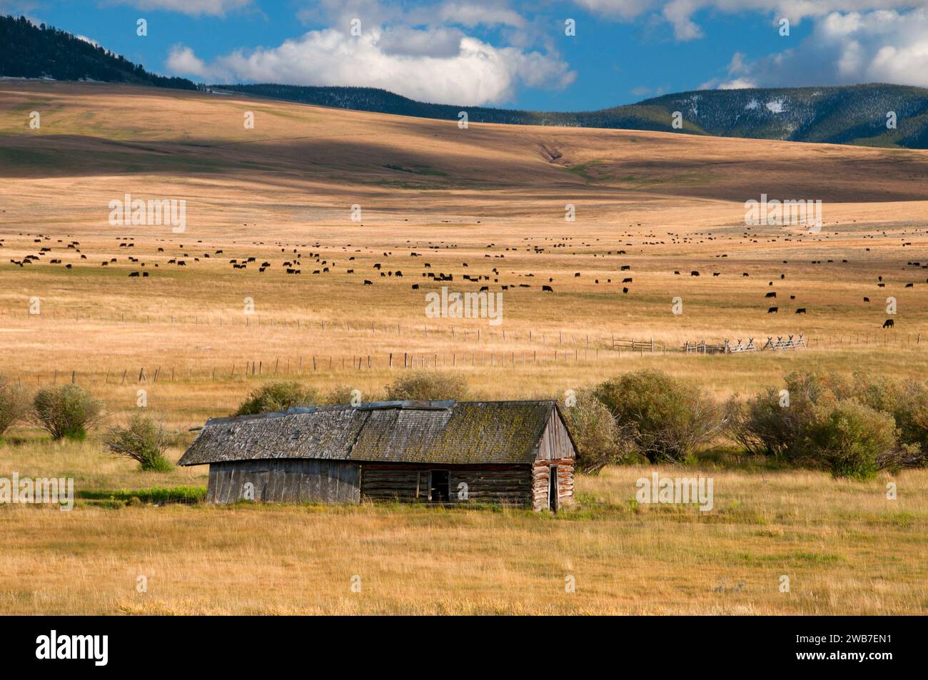 Ranch buildings in Big Hole River valley, Beaverhead County, Montana ...