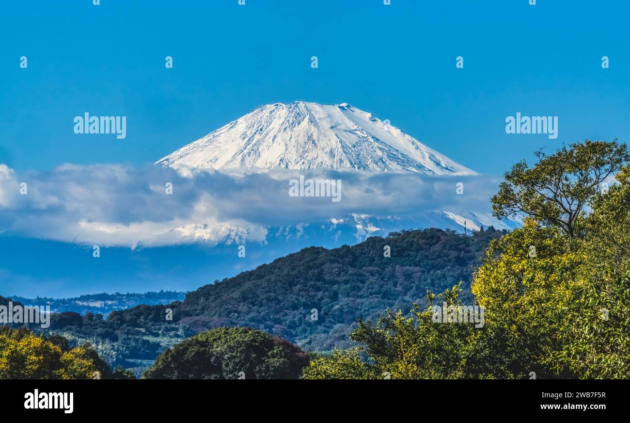 Colorful Fall Leaves Countryside Snowy Mount Fuji Mountain Hiratuska ...