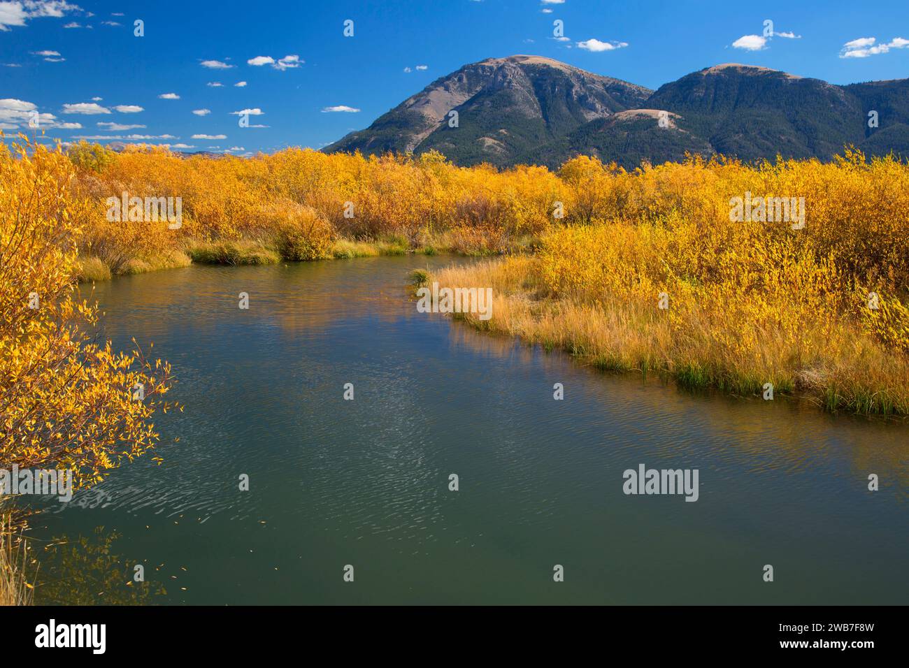 Odell Creek along Sparrow Ponds Trail to Sheep Mountain, Red Rock Lakes ...