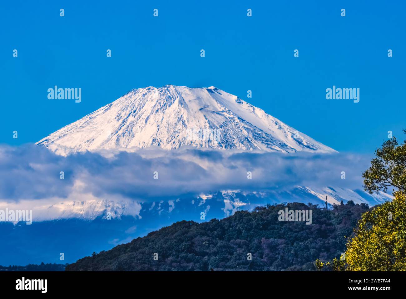 Colorful Fall Leaves Countryside Snowy Mount Fuji Mountain Hiratuska ...