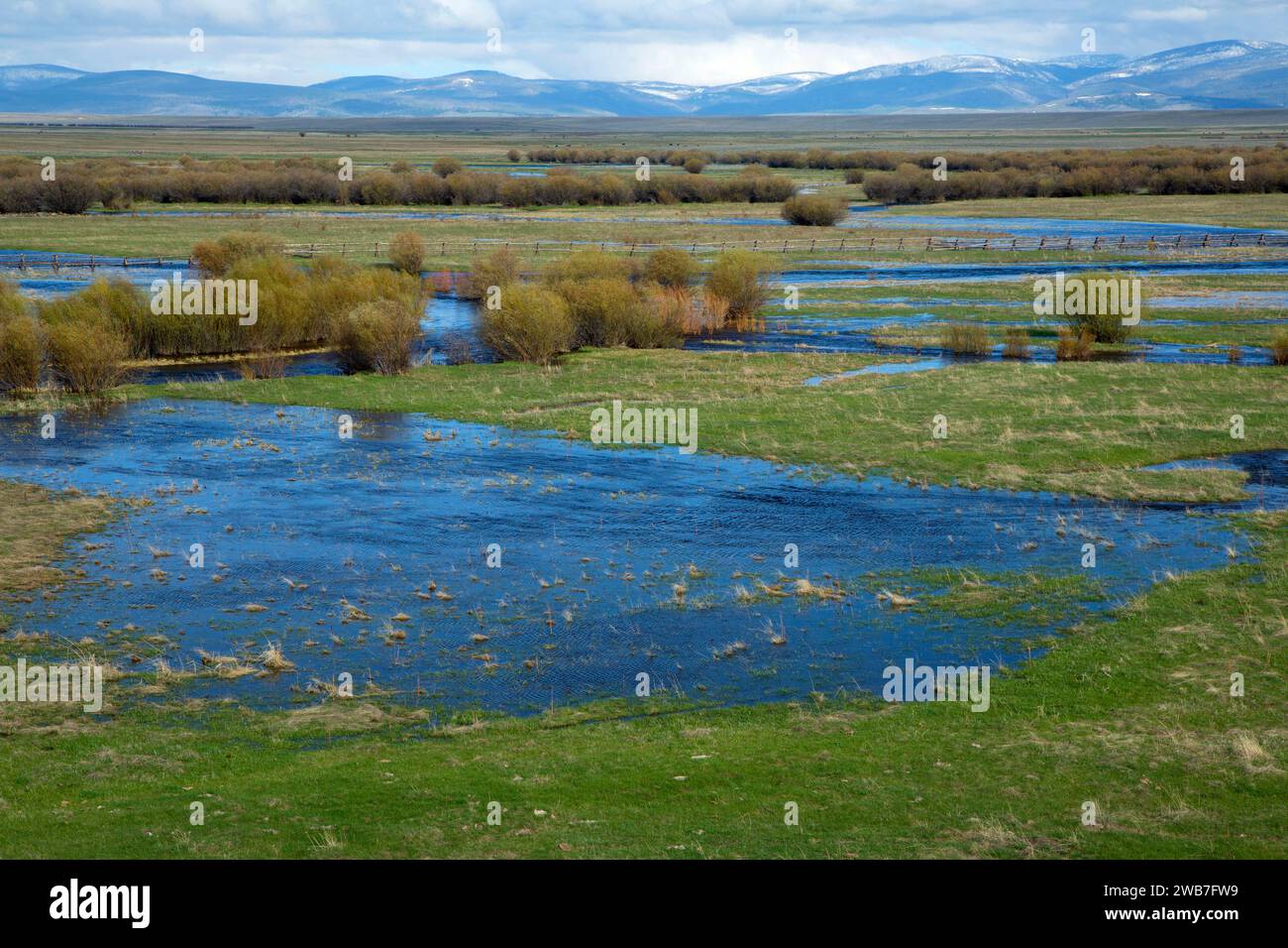Big hole valley montana hi-res stock photography and images - Alamy
