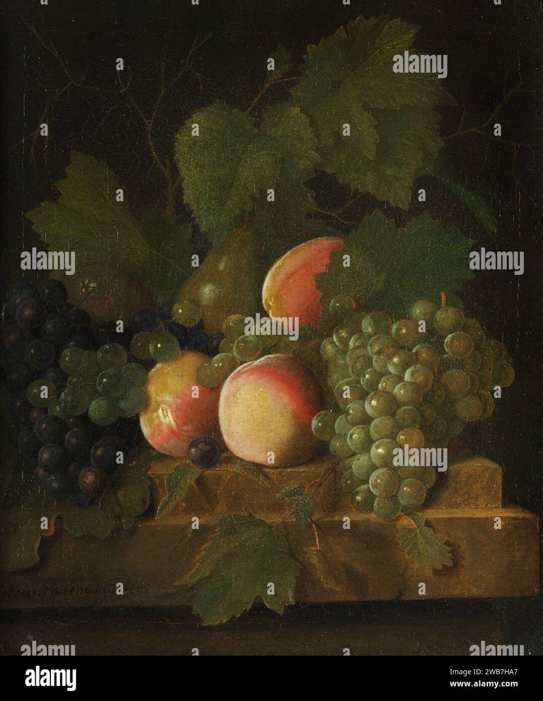 Peter Jacob Horemans - Still life with peaches and grapes Stock Photo ...