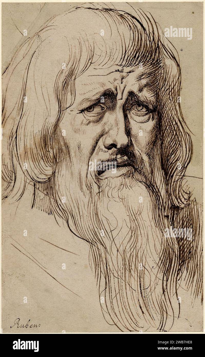 Peter Paul Rubens - Head of a weeping bearded man Stock Photo - Alamy