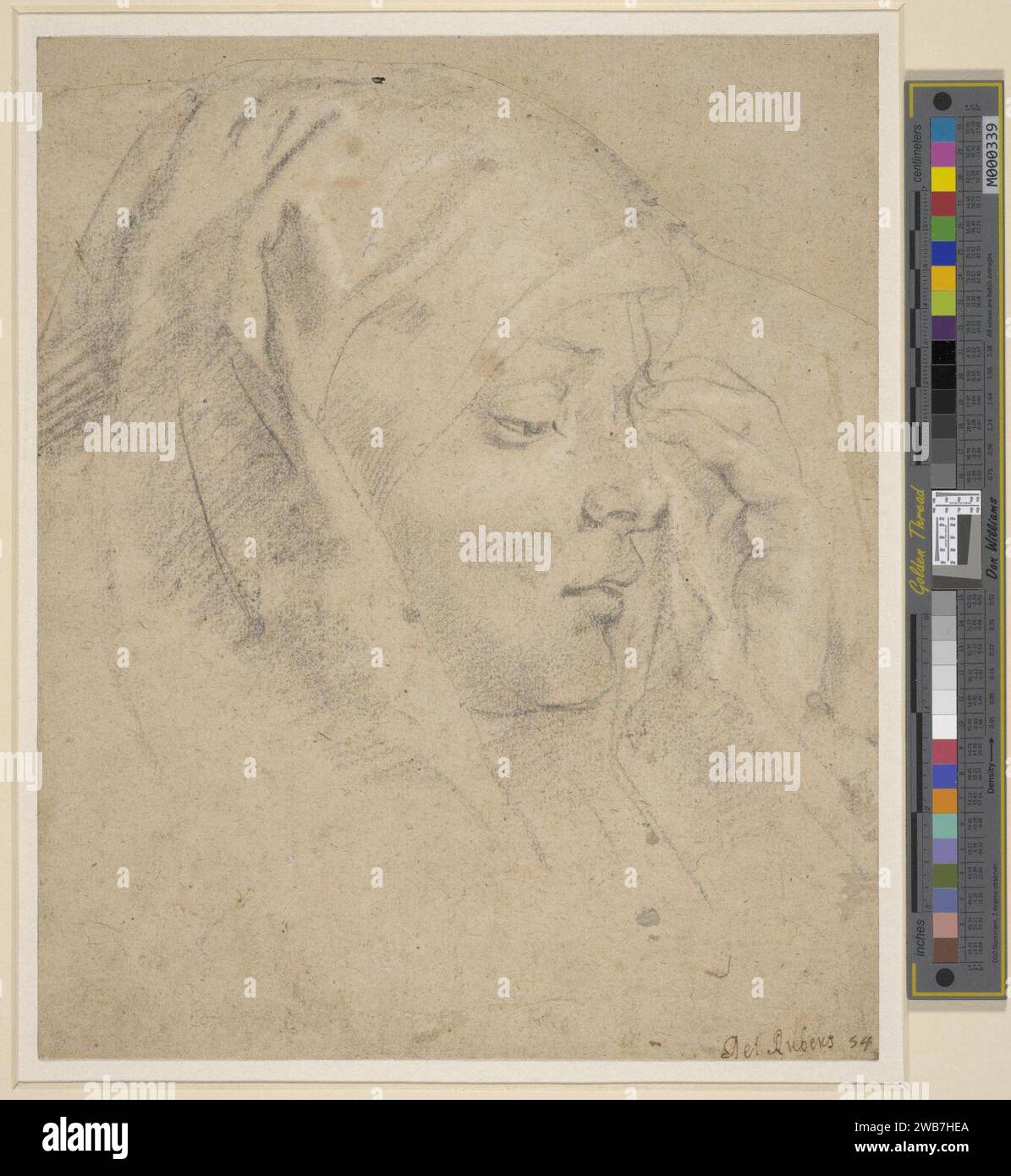 Peter Paul Rubens - Study for one of the weeping women Stock Photo - Alamy