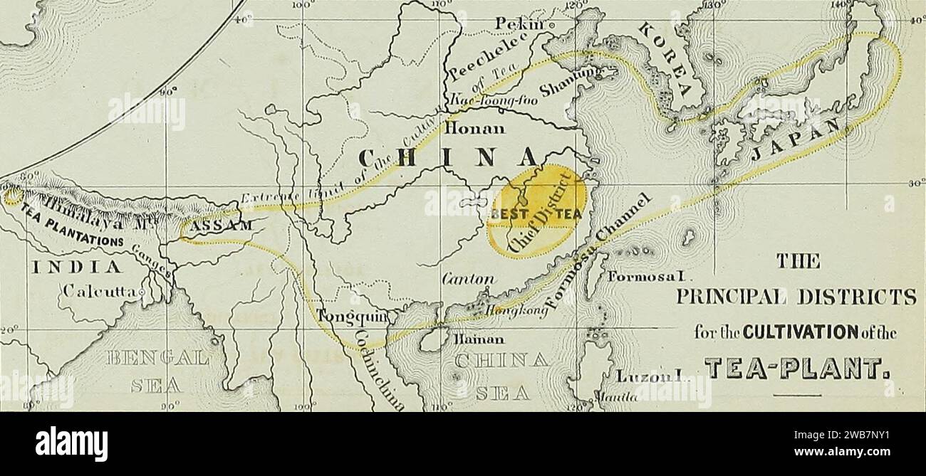 ''THE PRINCIPAL DISTRICTS for the CULTIVATION of the TEA-PLANT'' 1853 ...