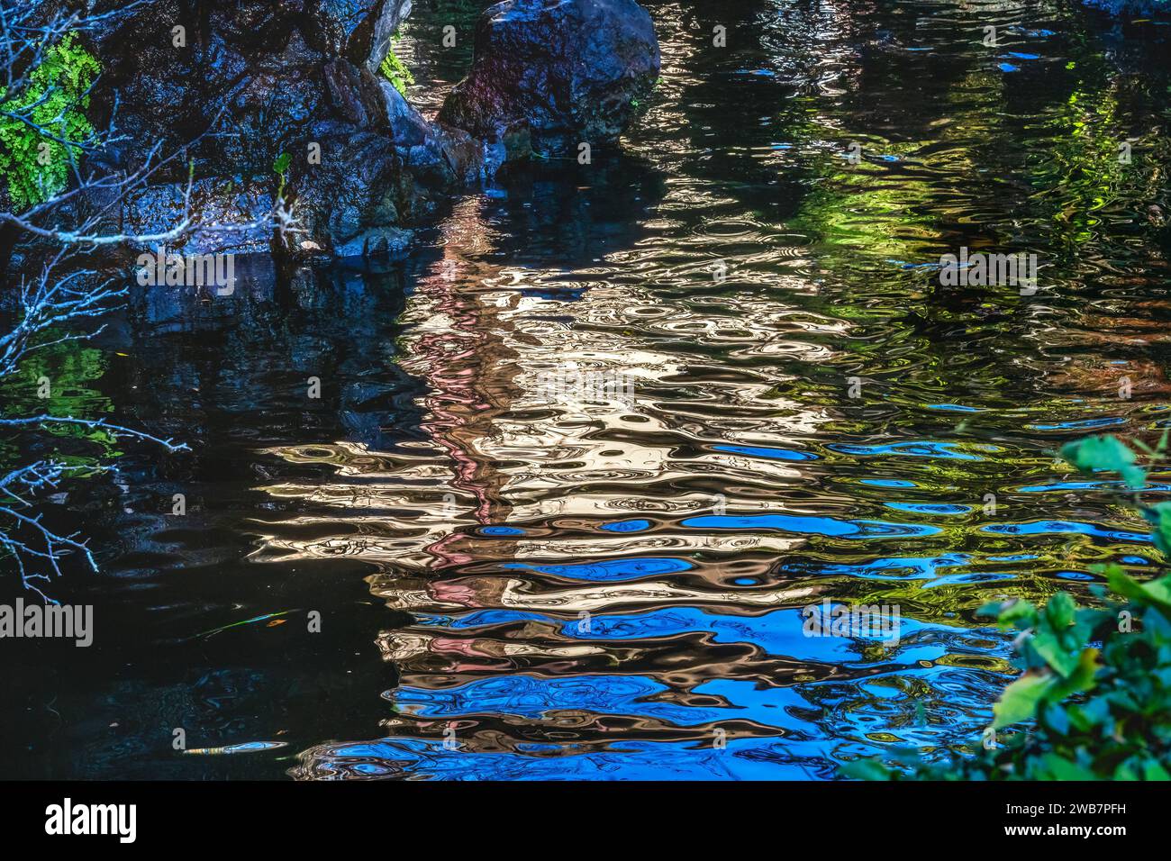 Colorful Hojo Castle Moat Abstract Background Odawara Kanagawa Japan ...