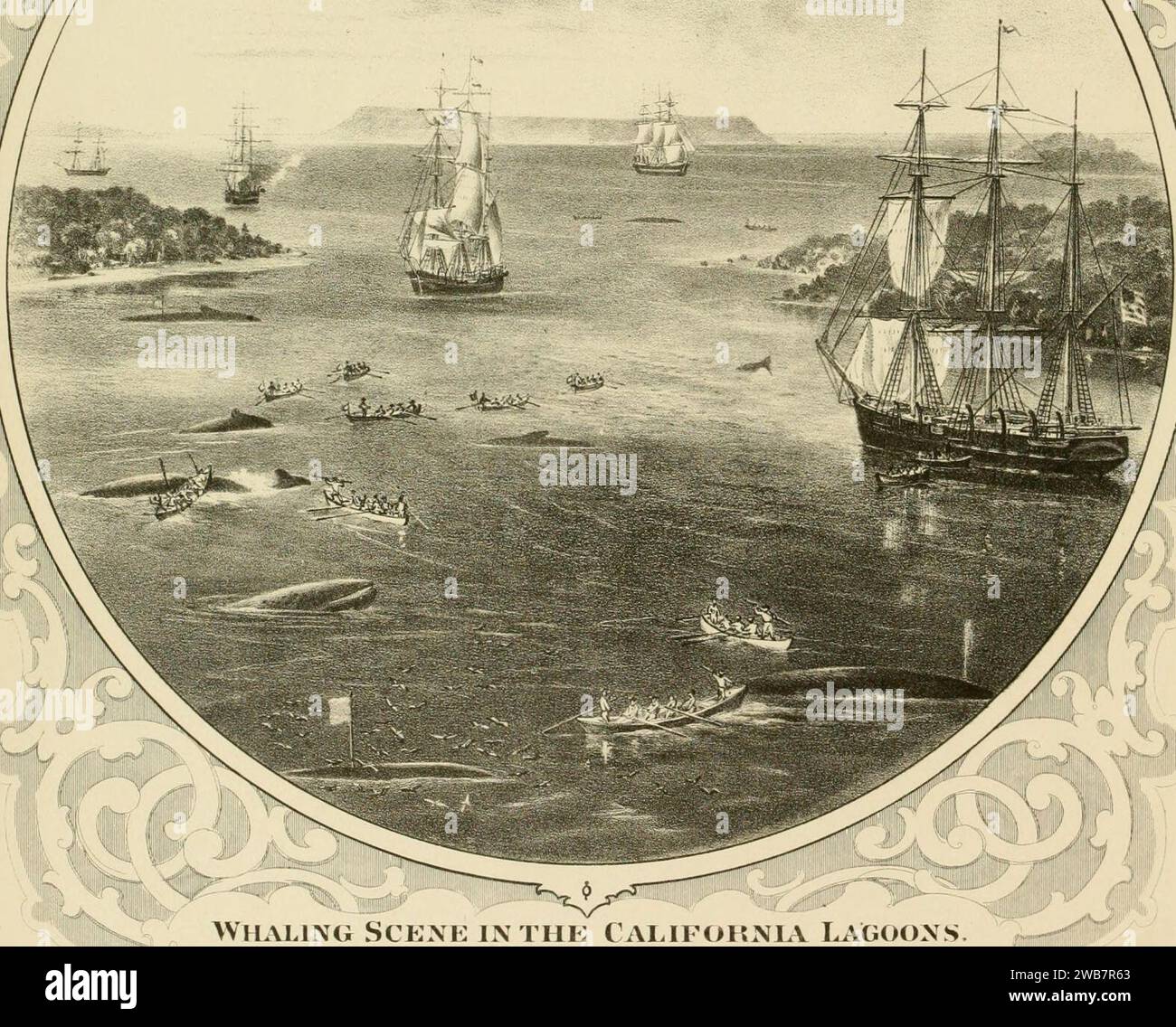 ''Whaling Scene in the California Lagoons'' 1874 illustration detail ...