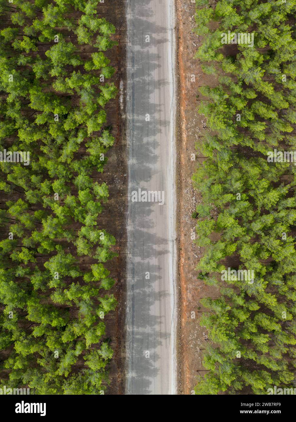Forest road view hi-res stock photography and images - Alamy